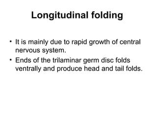 Digestive system | PPT