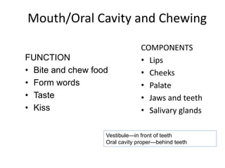 Digestive system | PPTX