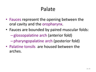 Digestive system | PPTX