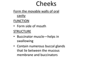 Digestive system BHNU | PPTX