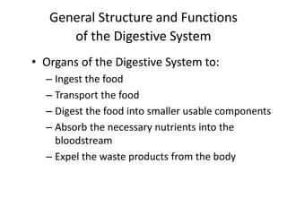 Digestive system BHNU | PPTX