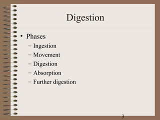 Digestive system | PPT