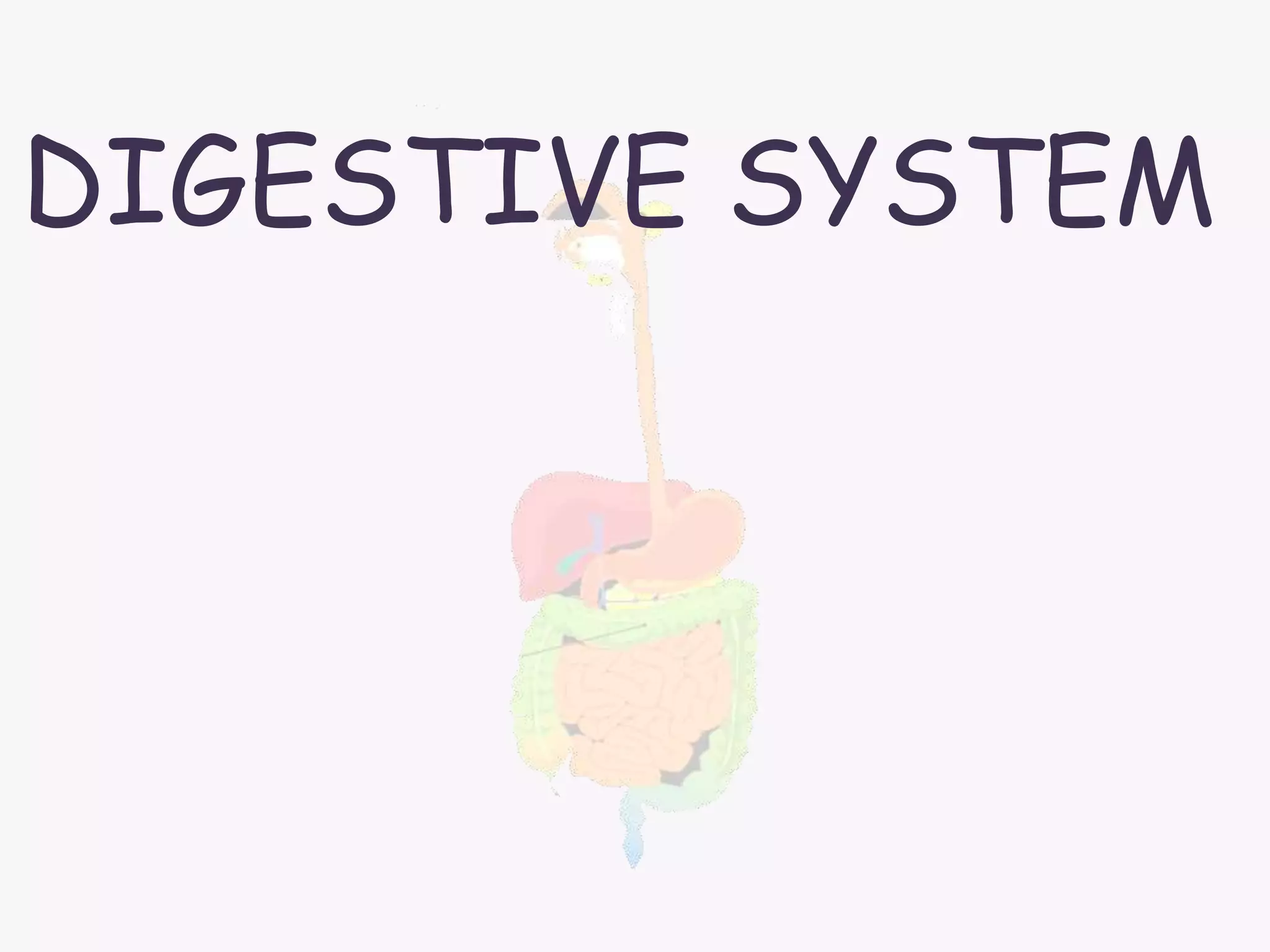 Digestive system | PPTX