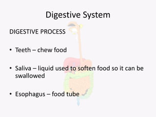 Digestive system | PPT