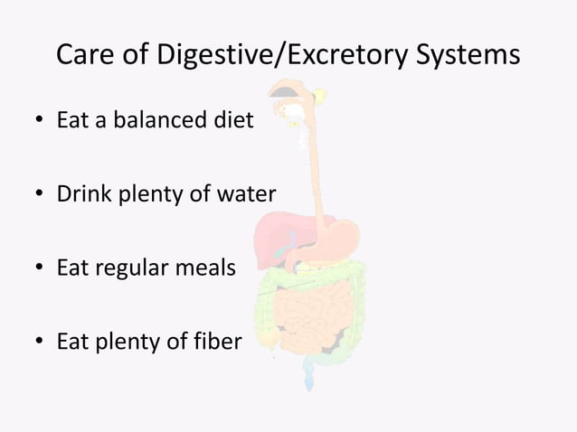Digestive system | PPT