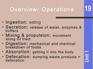 Digestive system | PPT