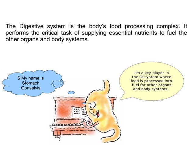 Human Digestive System | PPT