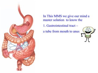 Human Digestive System | PPT