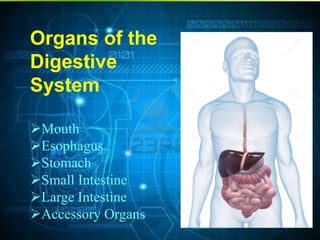 The Digestive system | PPTX
