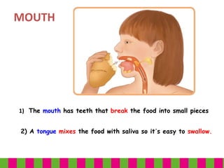 Digestive system | PPTX