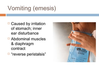 Anatomy & Physiology Lecture Notes - Digestive system | PPT