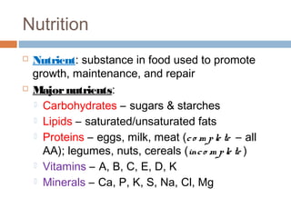 Anatomy & Physiology Lecture Notes - Digestive system | PPT