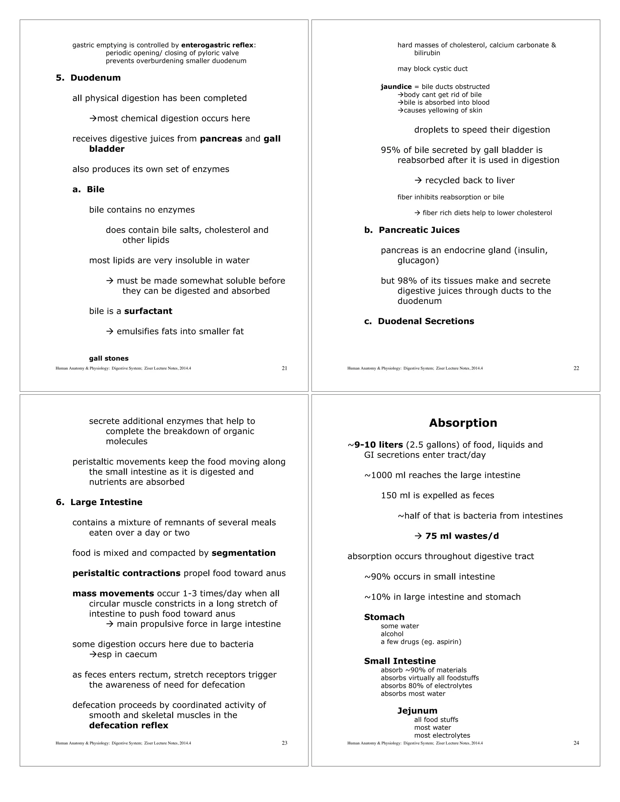 Learn the Ins and Outs of the Digestive System | PDF