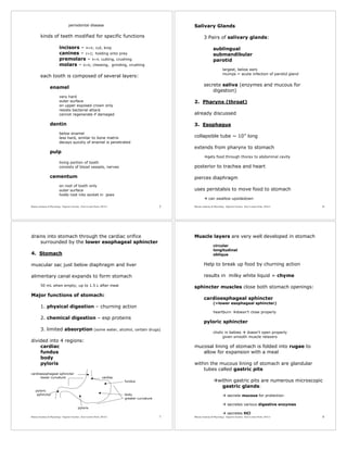 Learn the Ins and Outs of the Digestive System | PDF