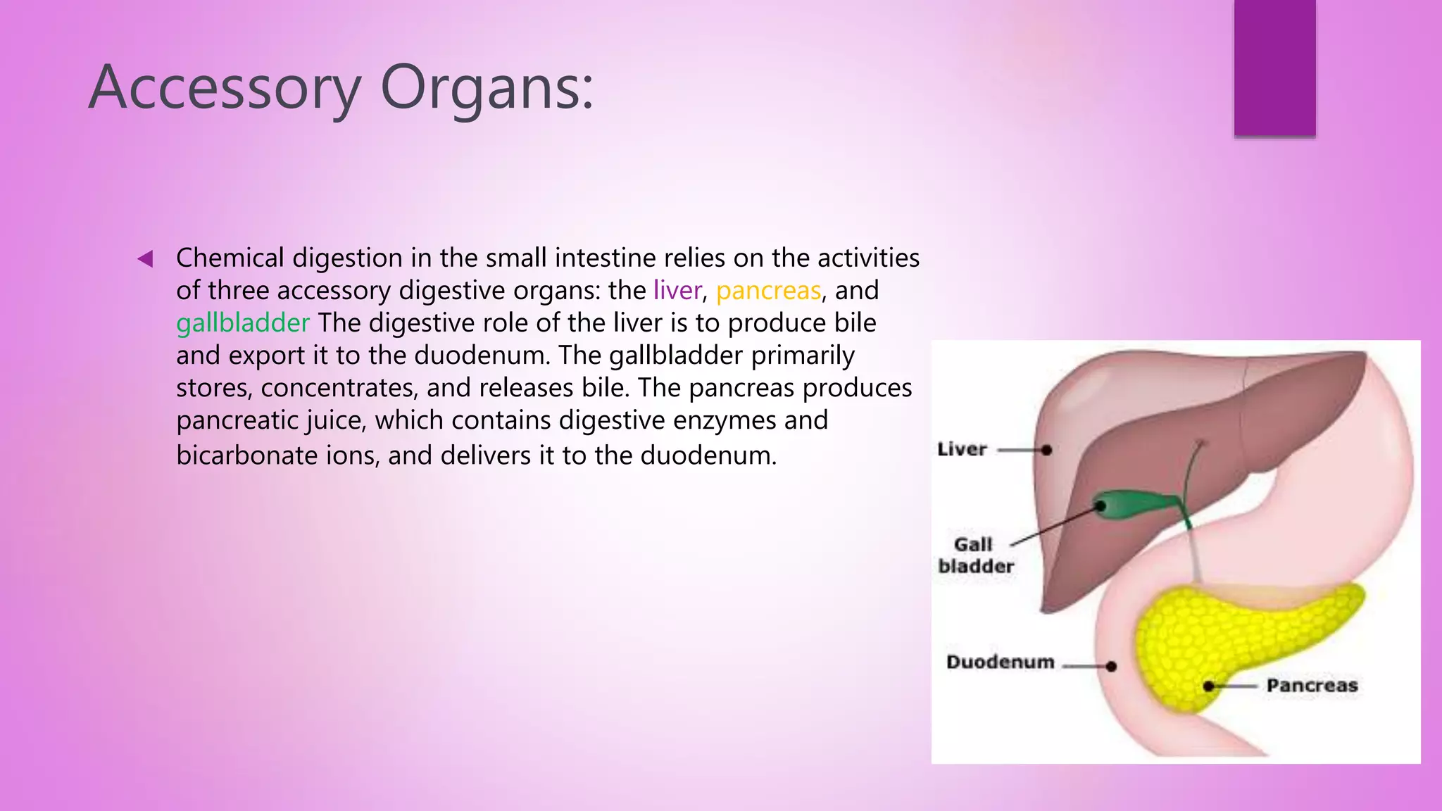 overview of the digestive system and diseases of it | PPTX
