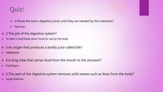 overview of the digestive system and diseases of it | PPTX