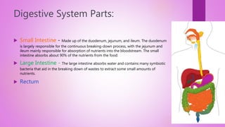 overview of the digestive system and diseases of it | PPTX