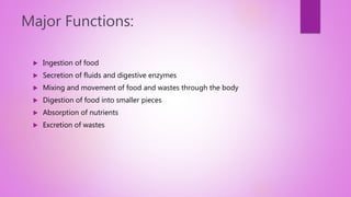 overview of the digestive system and diseases of it | PPTX