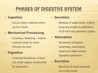 Digestivesystem 160827072053 | PDF