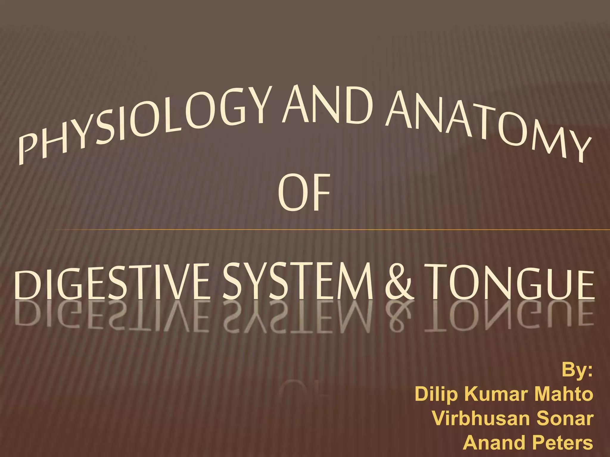 Physiology and Anatomy of Human Digestive System at a Glance | PPT