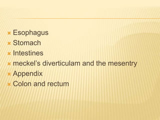 Digestive system CPT CODING-2017 | PPTX