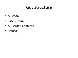 Digestive system | PPT