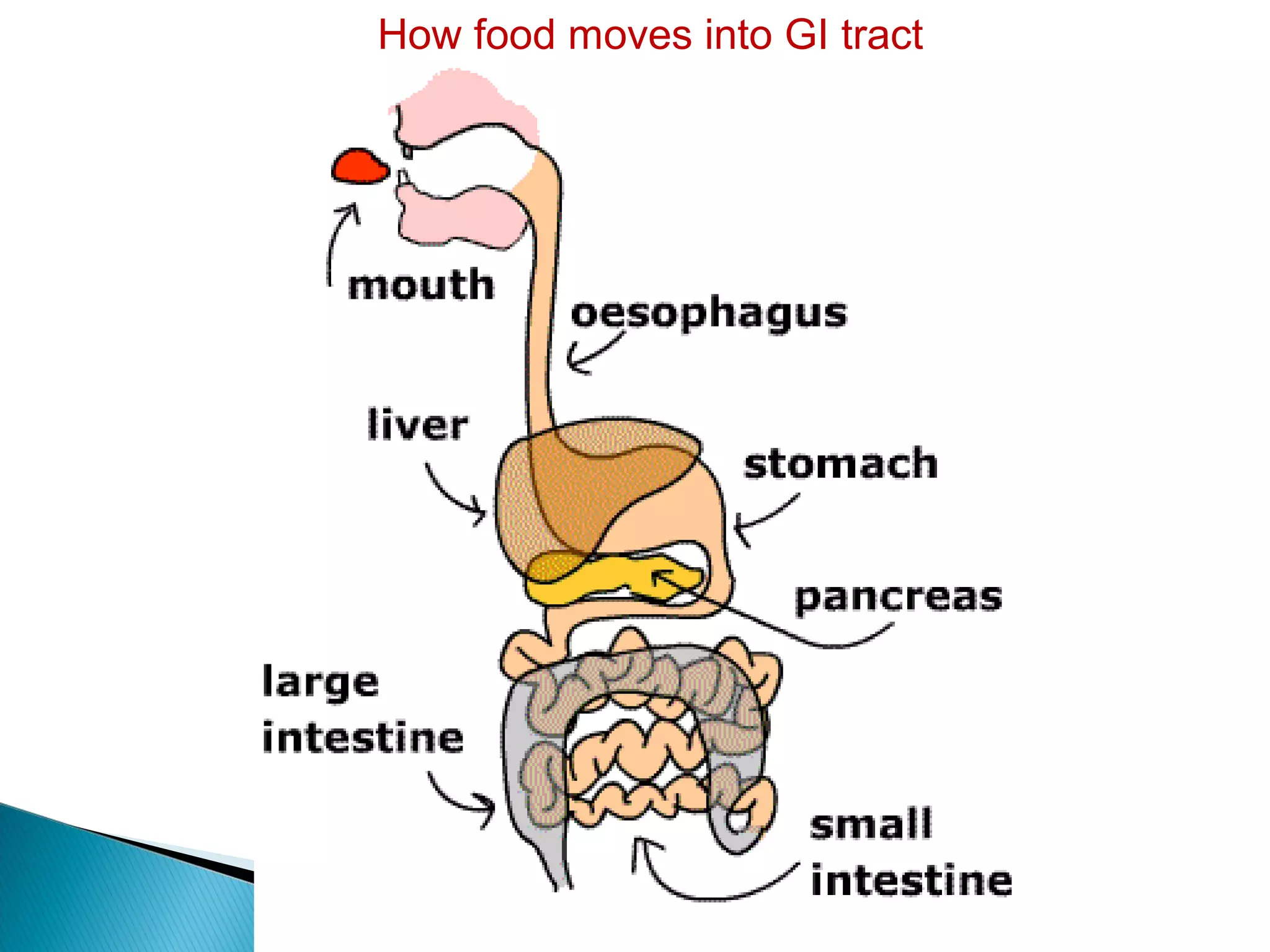 Pathology of the digestive system | PPT