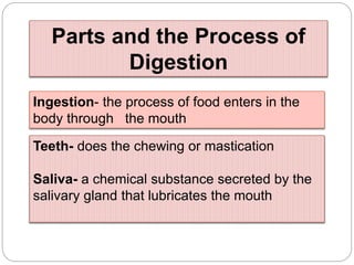 Digestive system | PPTX