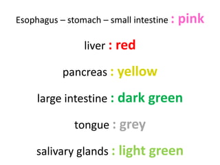 Digestive system | PPTX