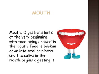 Digestive System | PPTX