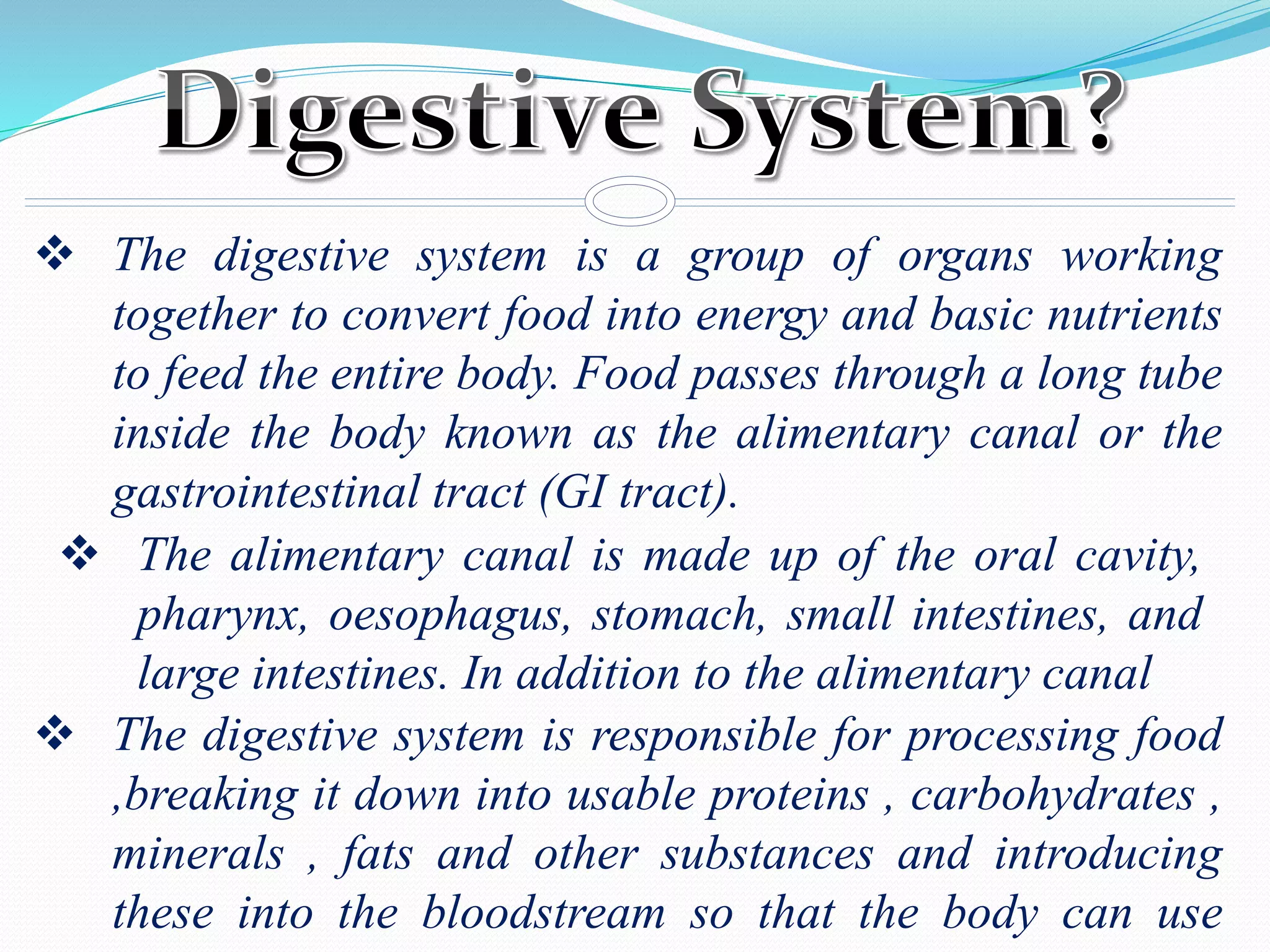 Digestive system | PPTX | Digestive Disorders | Diseases and Conditions