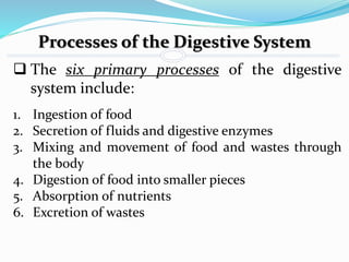 Digestive system | PPTX | Digestive Disorders | Diseases and Conditions