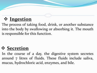 Digestive system | PPTX | Digestive Disorders | Diseases and Conditions