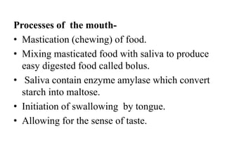 Digestive system | PPTX