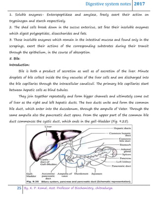Digestive system | PDF