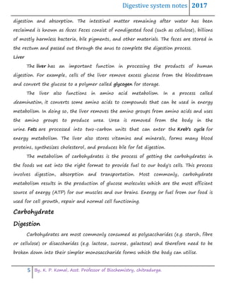Digestive system | PDF