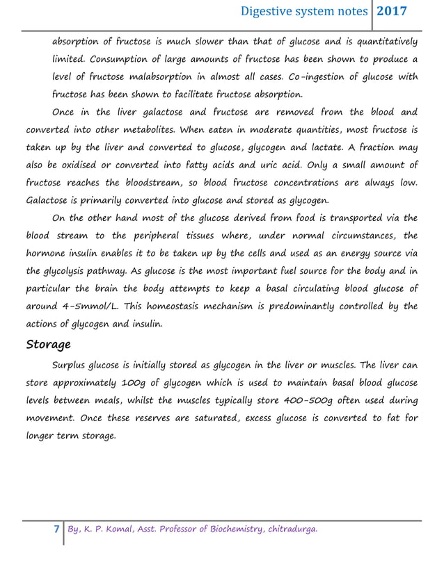 Digestive system | PDF