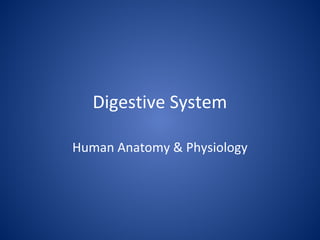 Digestive system Anatomy and physiology | PPT