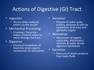 Digestive system Anatomy and physiology | PPT