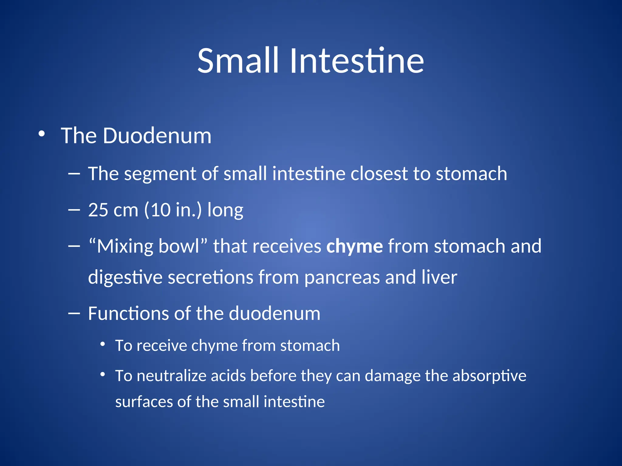 digestive system - anatomy and function ppt | PPT