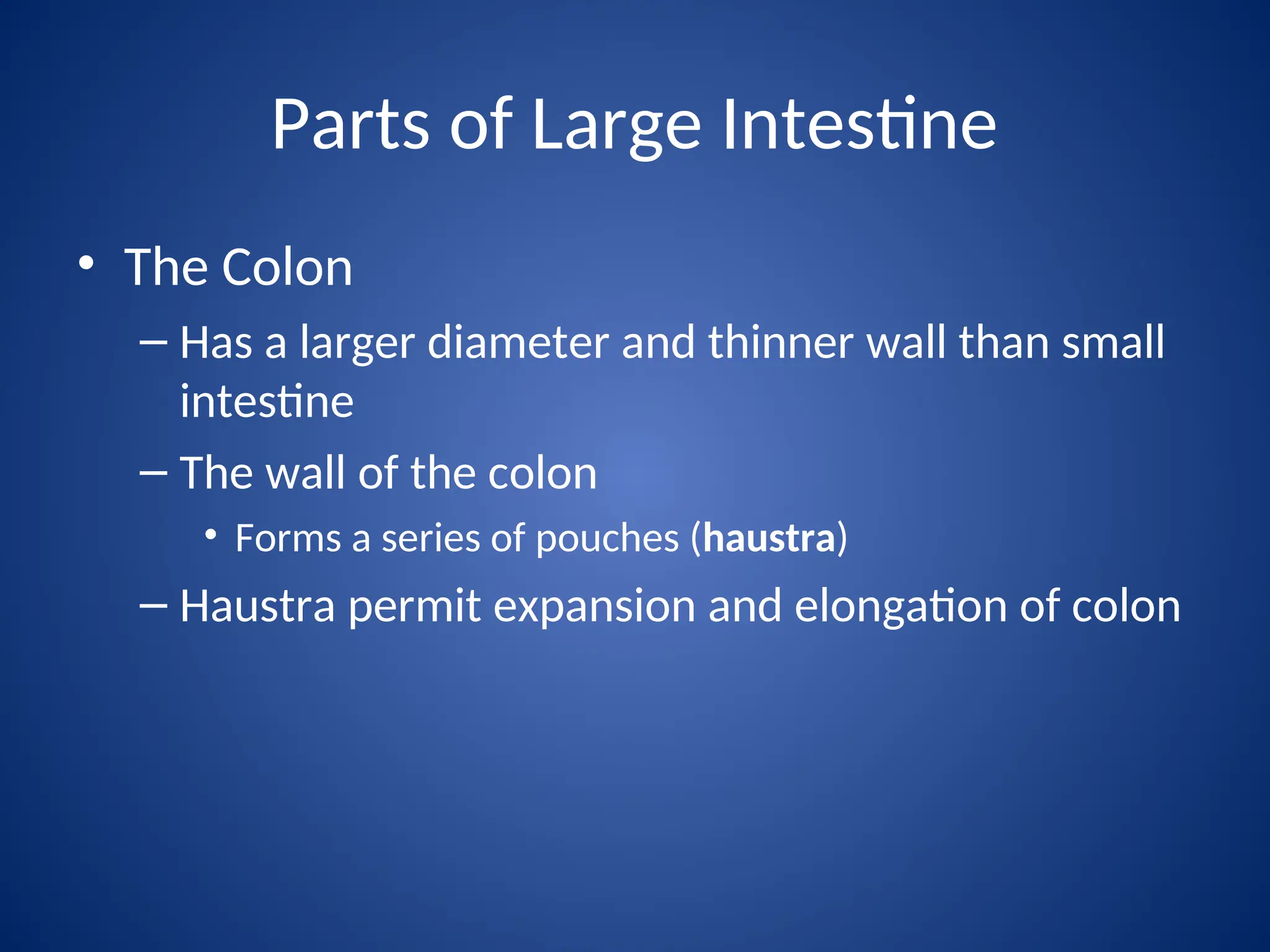 digestive system - anatomy and function ppt | PPT