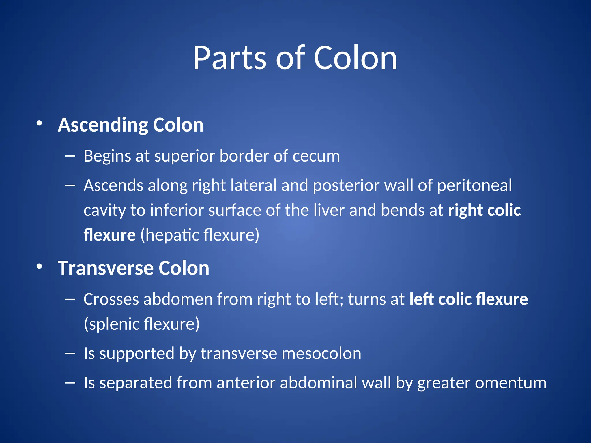 digestive system - anatomy and function ppt | PPT