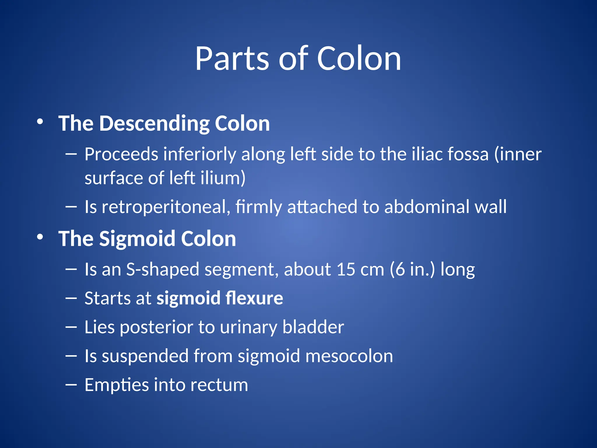 digestive system - anatomy and function ppt | PPT