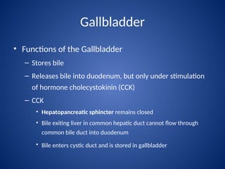 digestive system - anatomy and function ppt | PPT