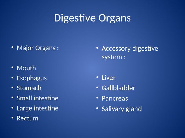 digestive system - anatomy and function ppt | PPT