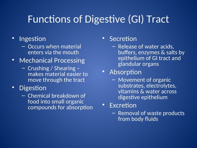digestive system - anatomy and function ppt | PPT