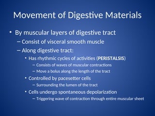digestive system - anatomy and function ppt | PPT