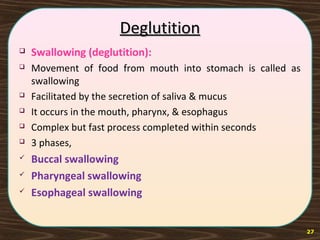 Digestive system | PPT