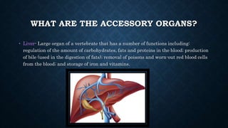 Digestive system | PPT