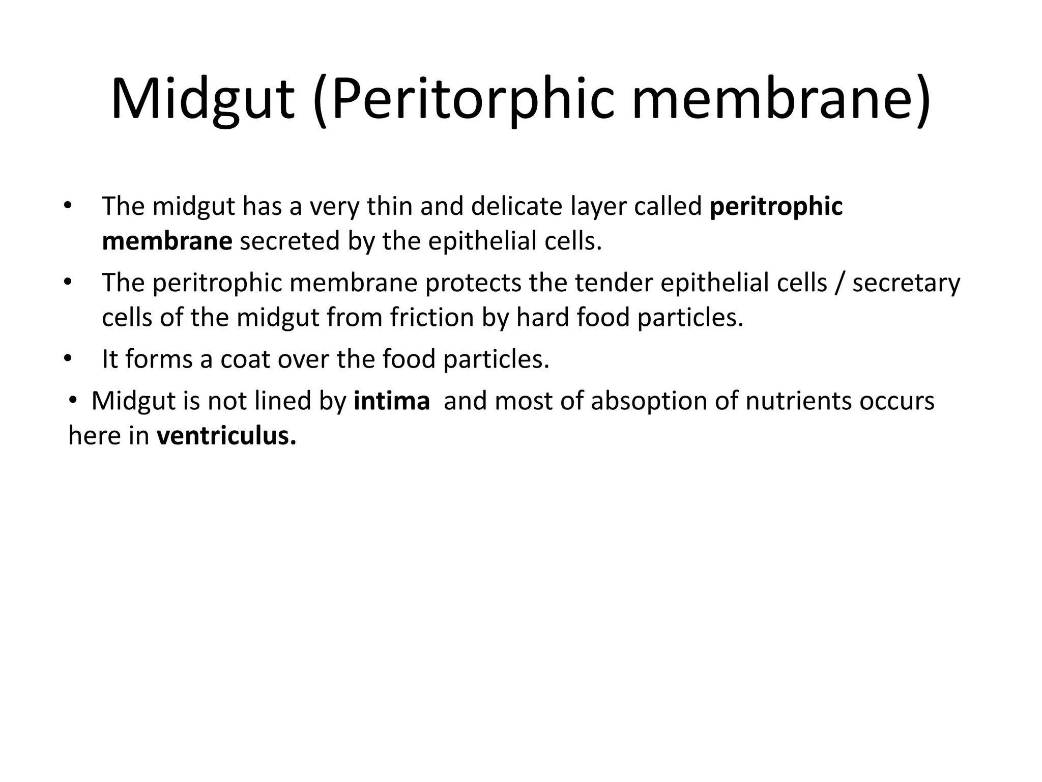 Digestive system of Insects | PPTX